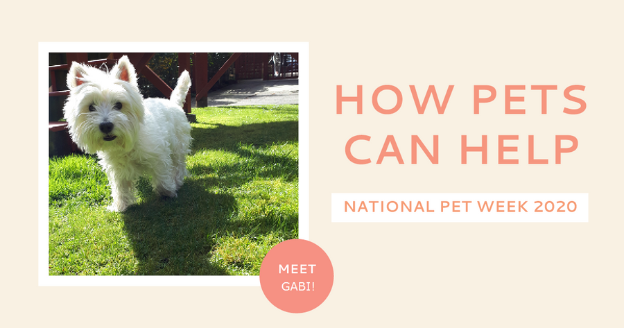 How Pets Can Help | Nightingale Medical Supplies
